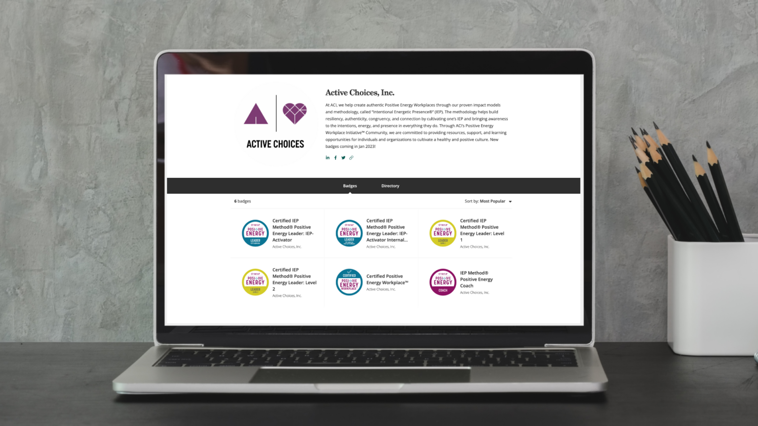 The Positive Energy Workplace Initiative™ Certification Program